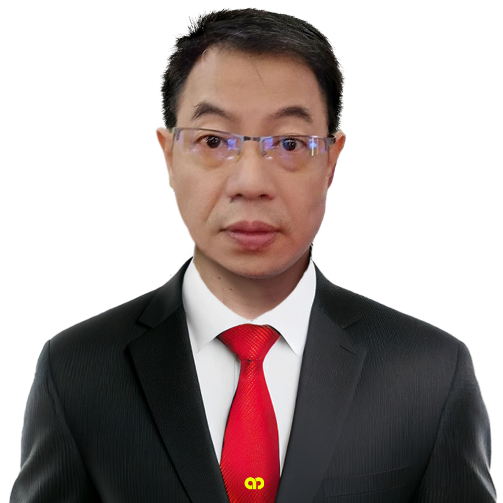 Dealer Profile - AmEquities